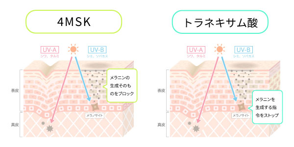4MSKとは？美白効果やおすすめの配合化粧品を紹介 - 美肌ナビ：女性の肌悩みを解決する中立公正な情報メディア